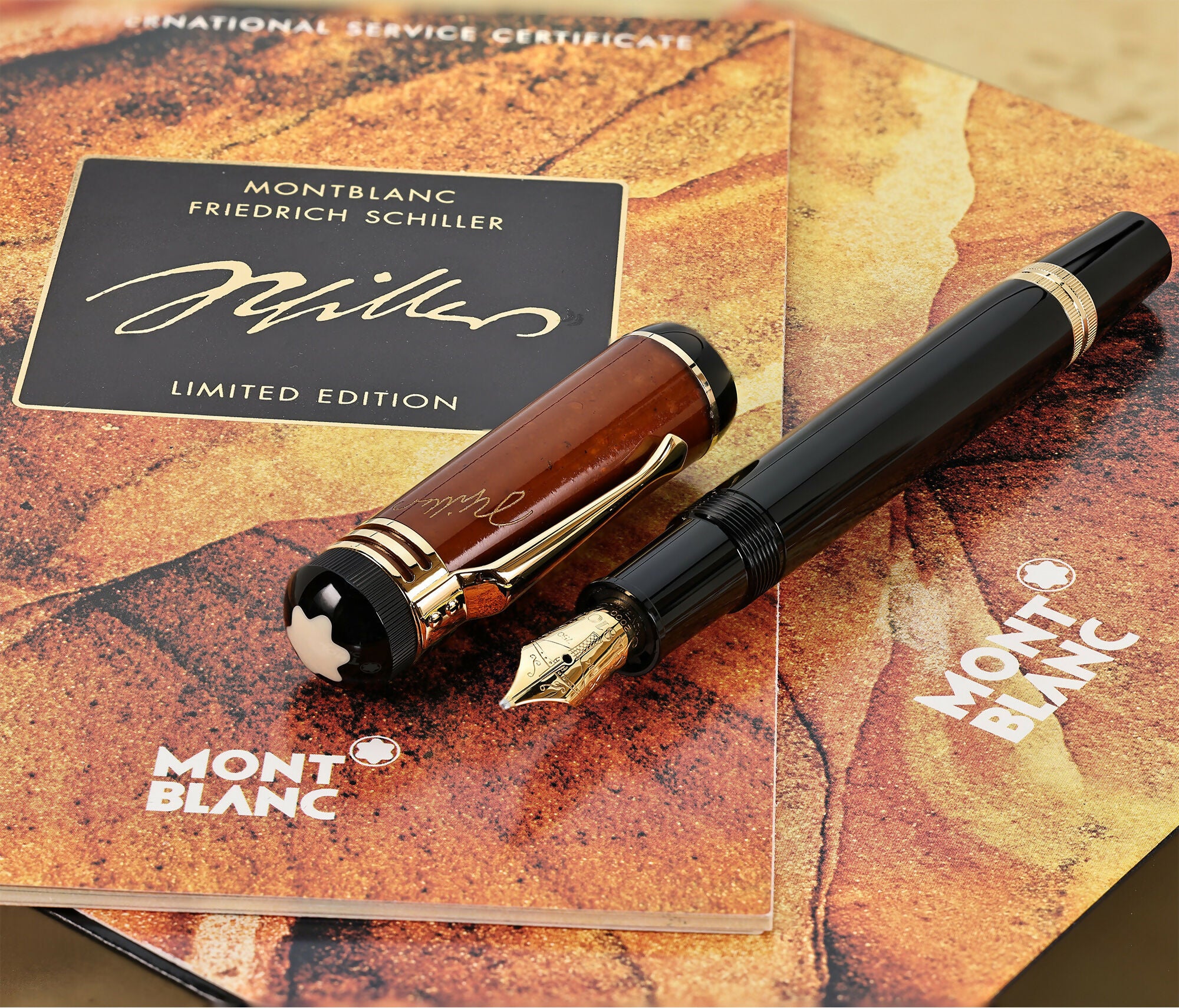 Montblanc Friedrich Schiller Writer Series Fountain Pen – The Pleasure ...