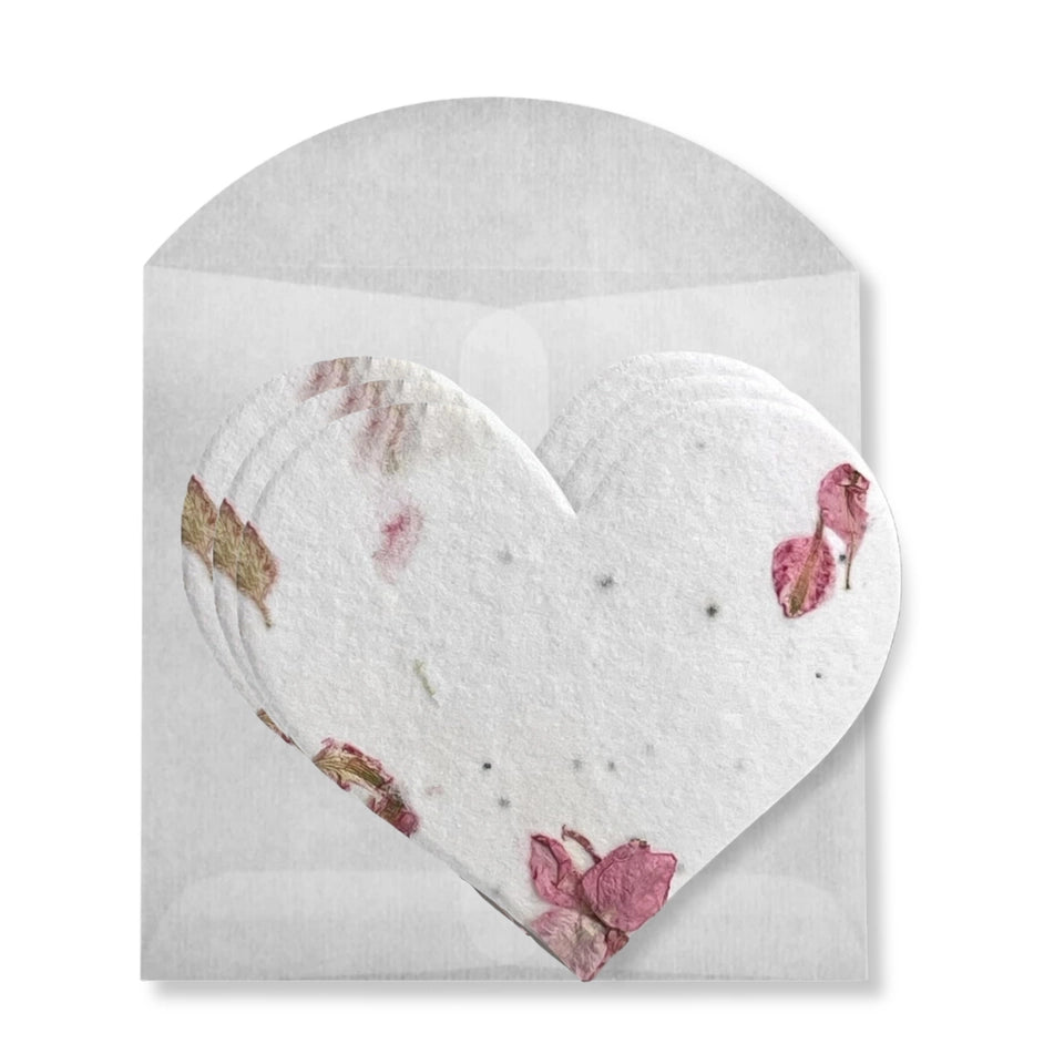 Paper Baristas Plantable Seed Mini Flower Greeting Card – The Pleasure ...