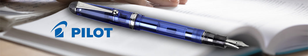 Pilot Fountain Pen - Fine Ballpoint - For Sale – The Pleasure of Writing